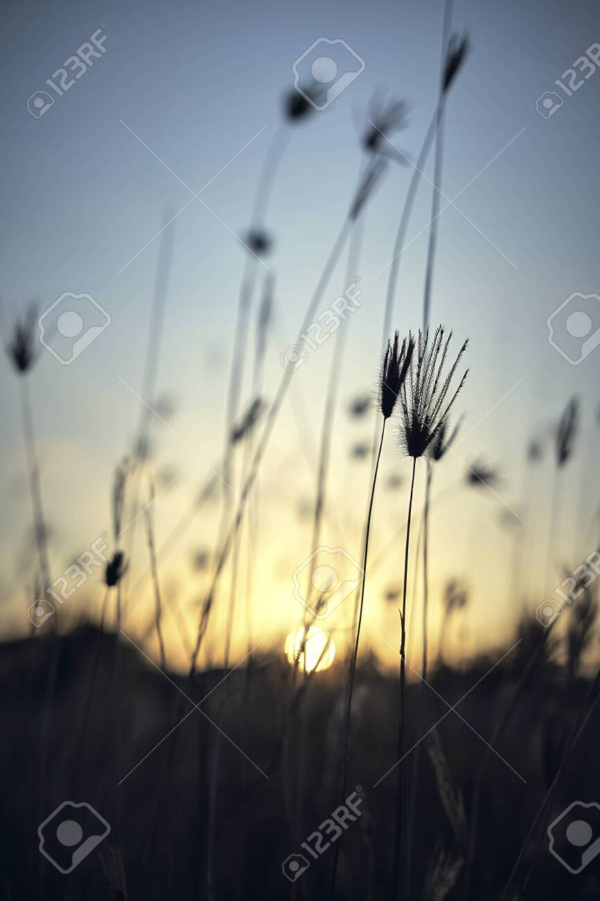 [44+] Afternoon Background | WallpaperSafari