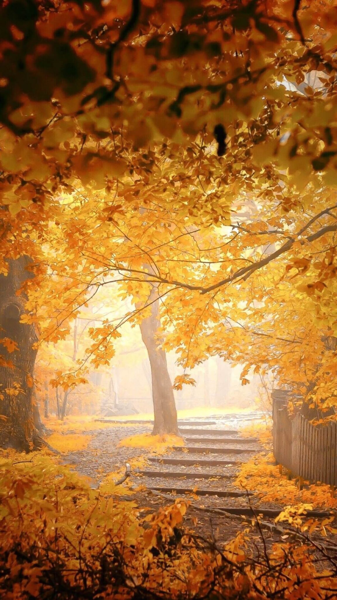 🔥 Free Download Fall Phone Wallpaper Pretty And Cute by @lauraf ...