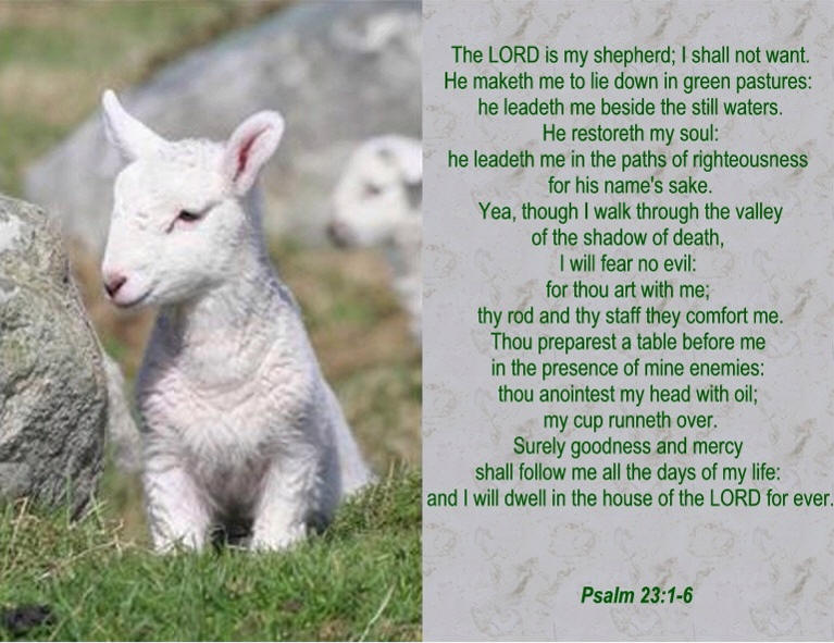 Free Download Psalm 23 Wallpaper 767x591 For Your Desktop Mobile
