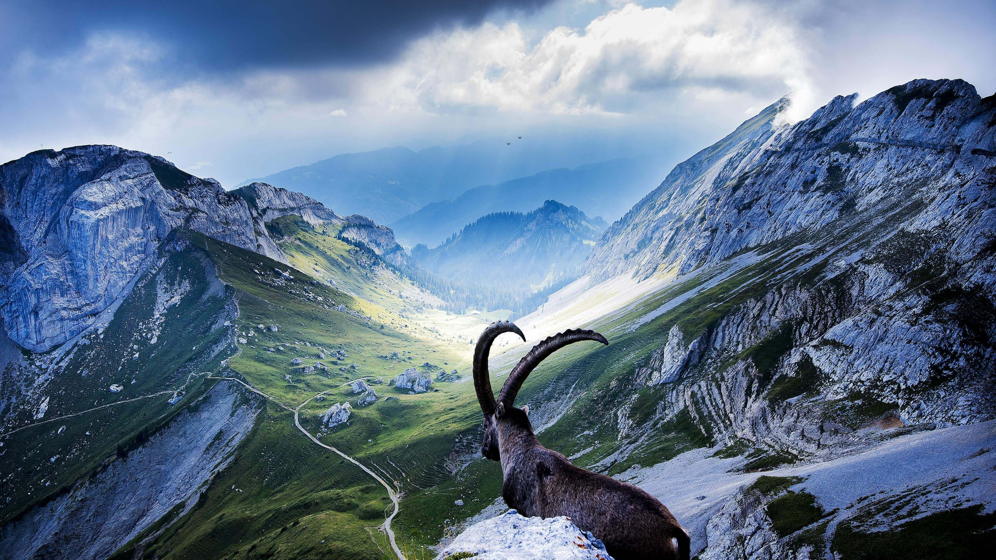  43 3840 X 2160 4K Wallpapers WallpaperSafari