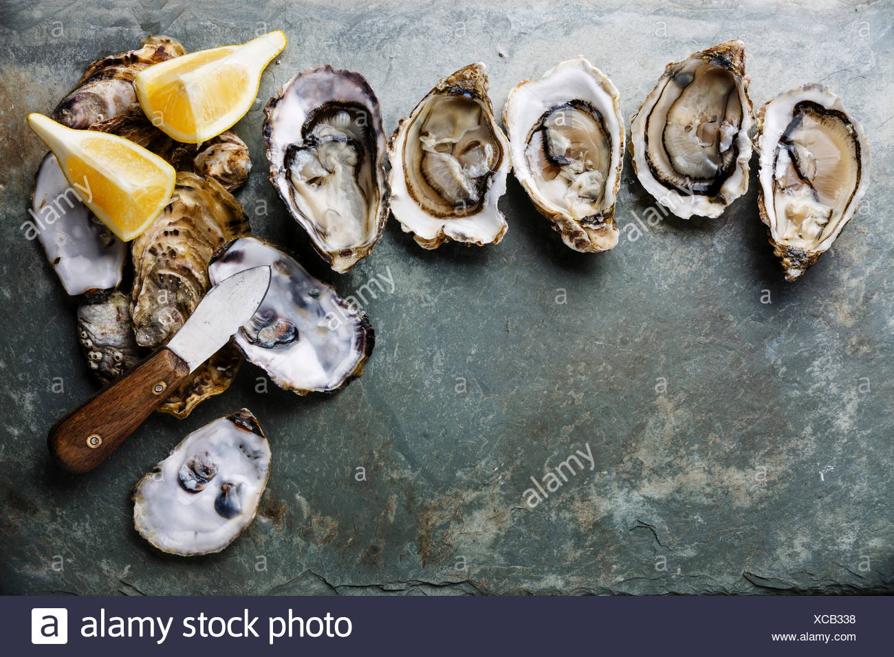 [37+] Oyster Background | WallpaperSafari