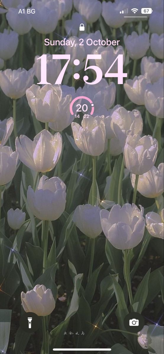 🔥 Free Download Ios Wallpaper Lockscreen Tulips by @pamelajones ...