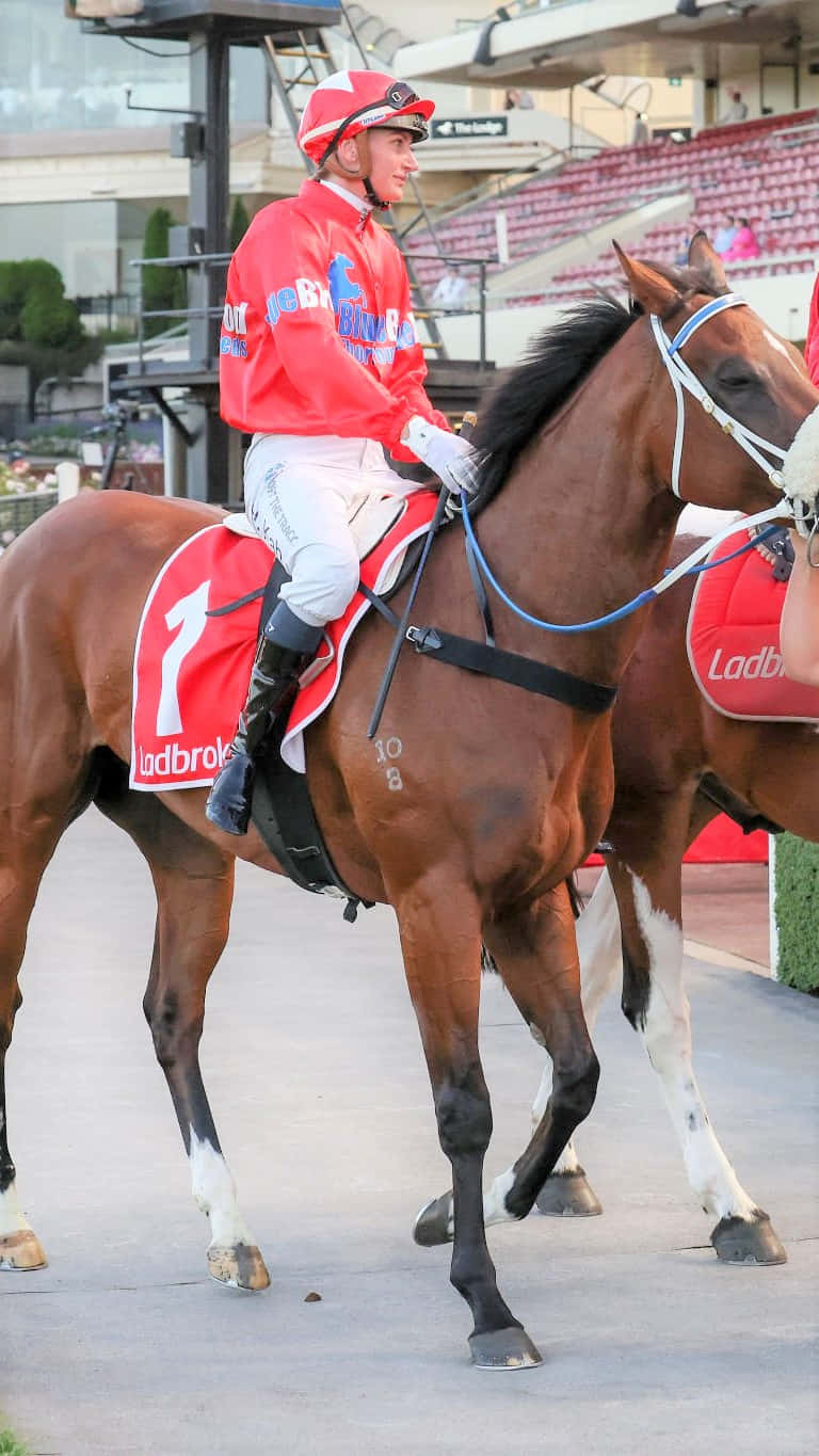 🔥 Free Download Jamie Kah Professional Jockey In Action On The ...