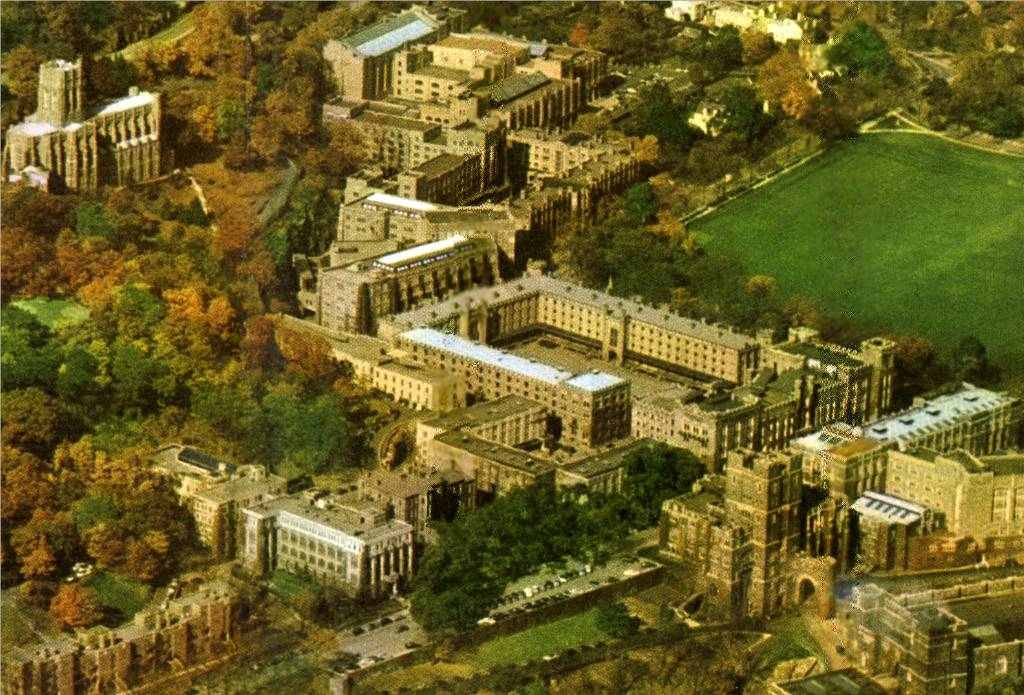 🔥 Free Download Usma Wallpaper by @karens5 | WallpaperSafari