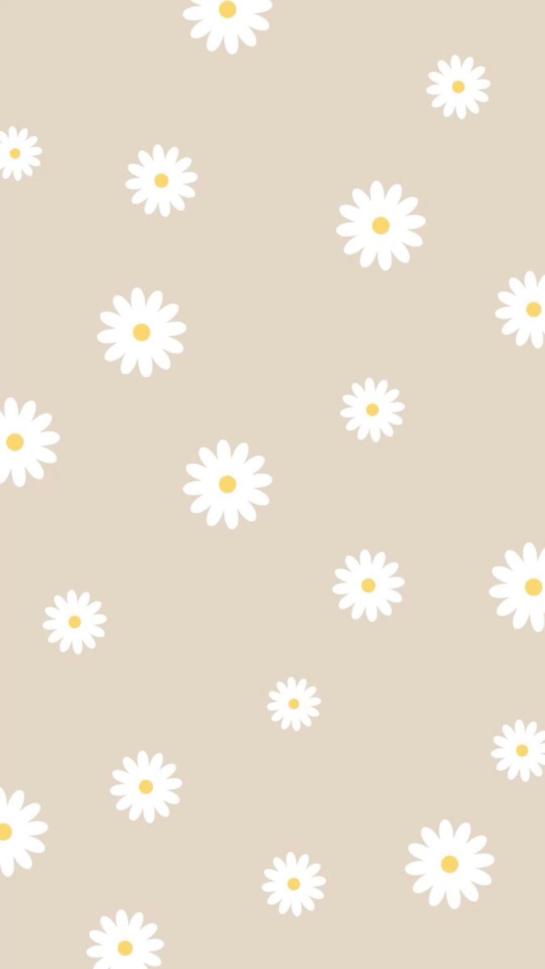 🔥 Free Download Aesthetic Pattern Wallpaper by @carmenm | WallpaperSafari