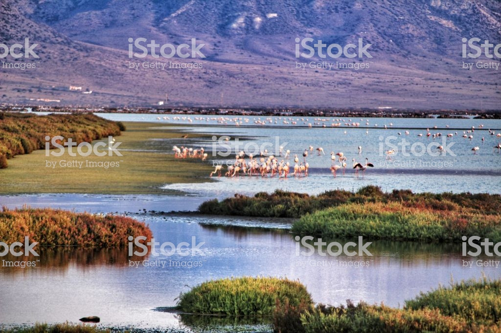 [36+] Cabo Background on WallpaperSafari