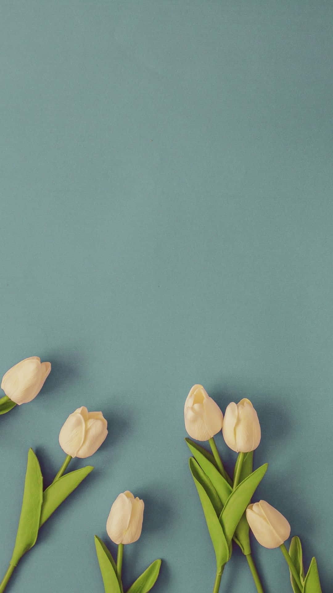 🔥 Free Download Minimalist Spring Aesthetic Wallpaper by @jbrowning ...
