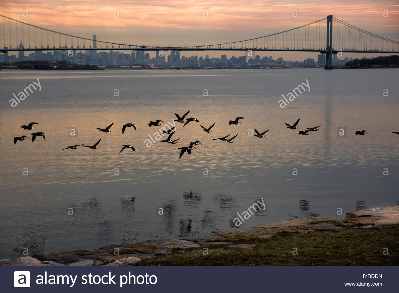 [31+] Whitestone Backgrounds | WallpaperSafari