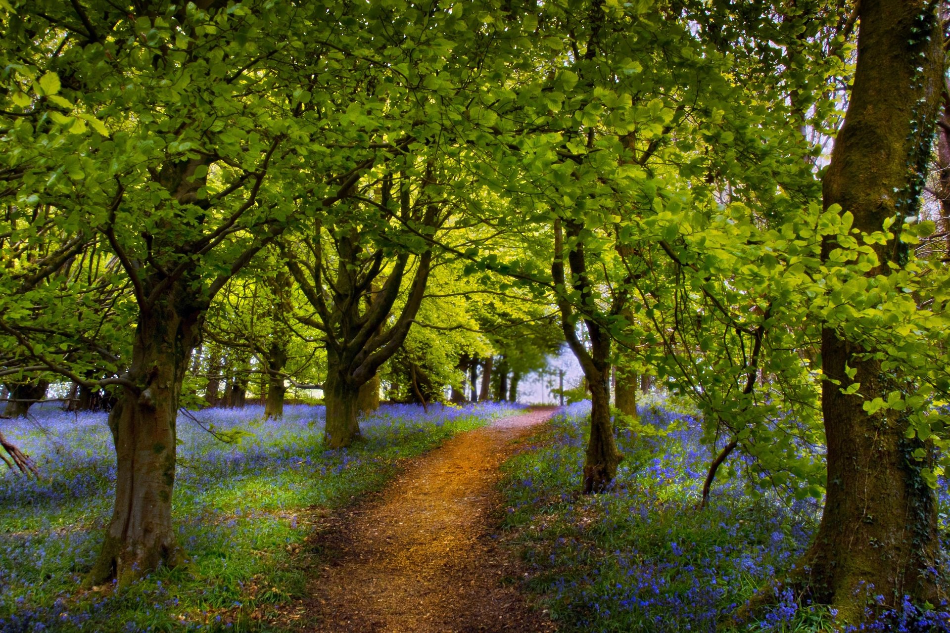 🔥 Free Download Spring Season Hd Wallpaper Desktop 4k Image by @tracieh ...