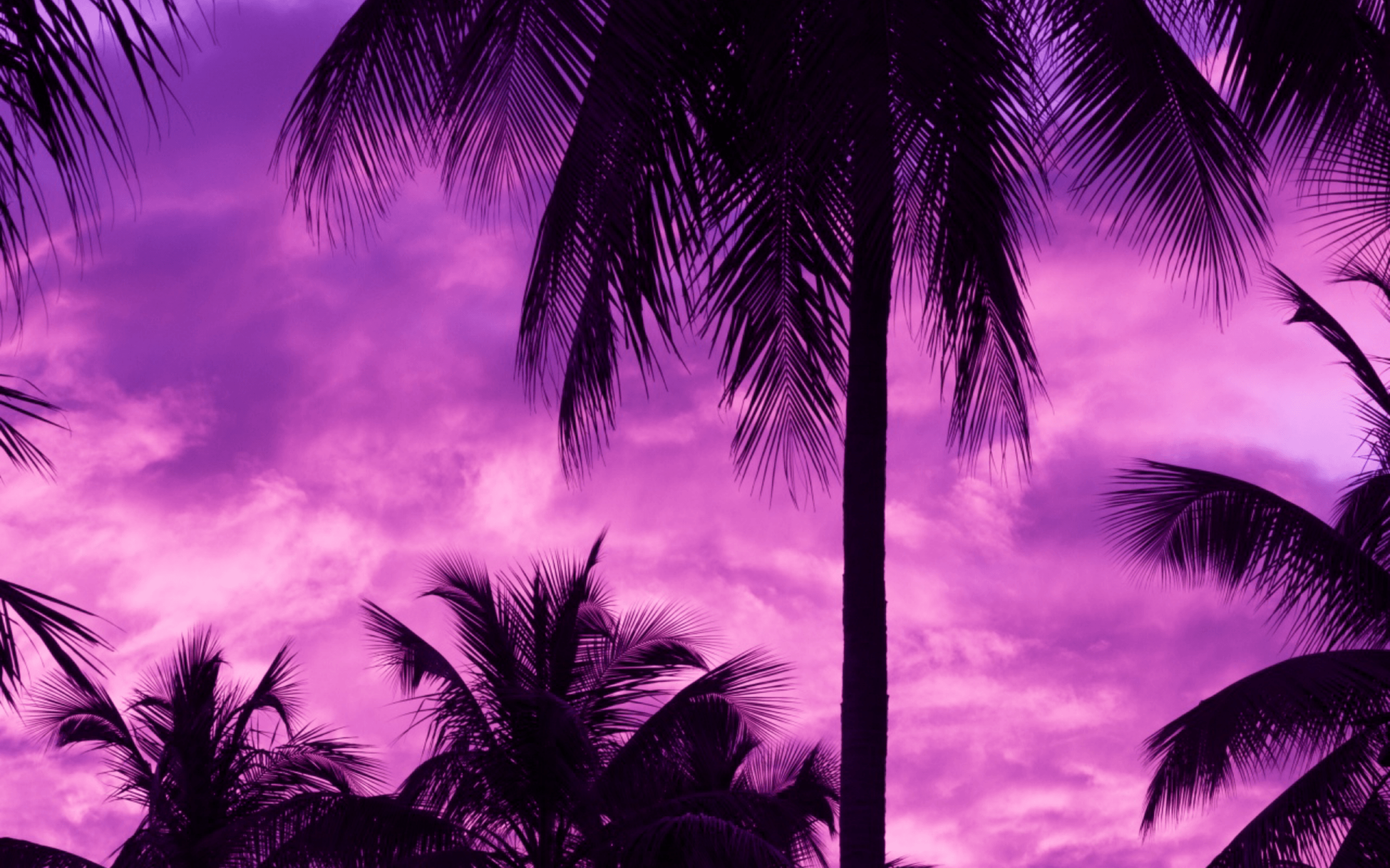 🔥 Free Download Purple Tree Wallpaper by @tjackson70 | WallpaperSafari