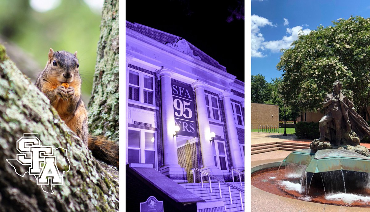 🔥 Free Download Stephen F Austin State University On Calling All Sfa by ...