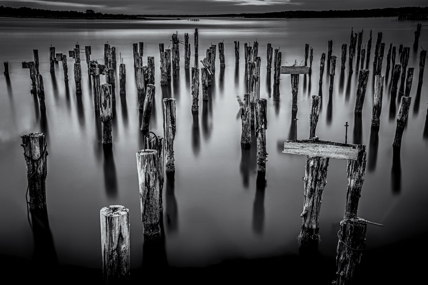 🔥 [70+] Black And White Photography Wallpapers | WallpaperSafari