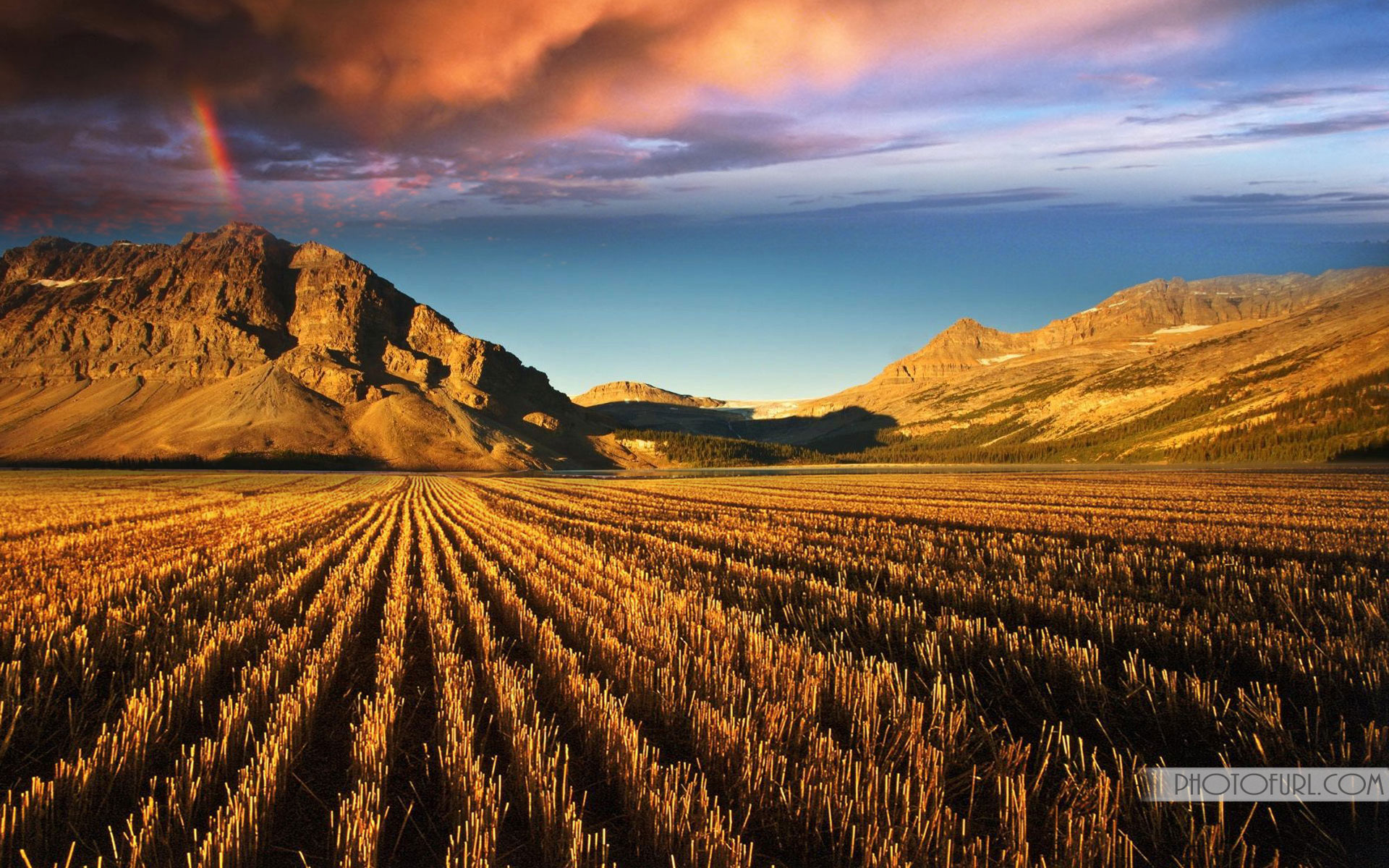 Free download pics 4 desctop Cheap Wallpaper Online Canada [1600x1200 ...