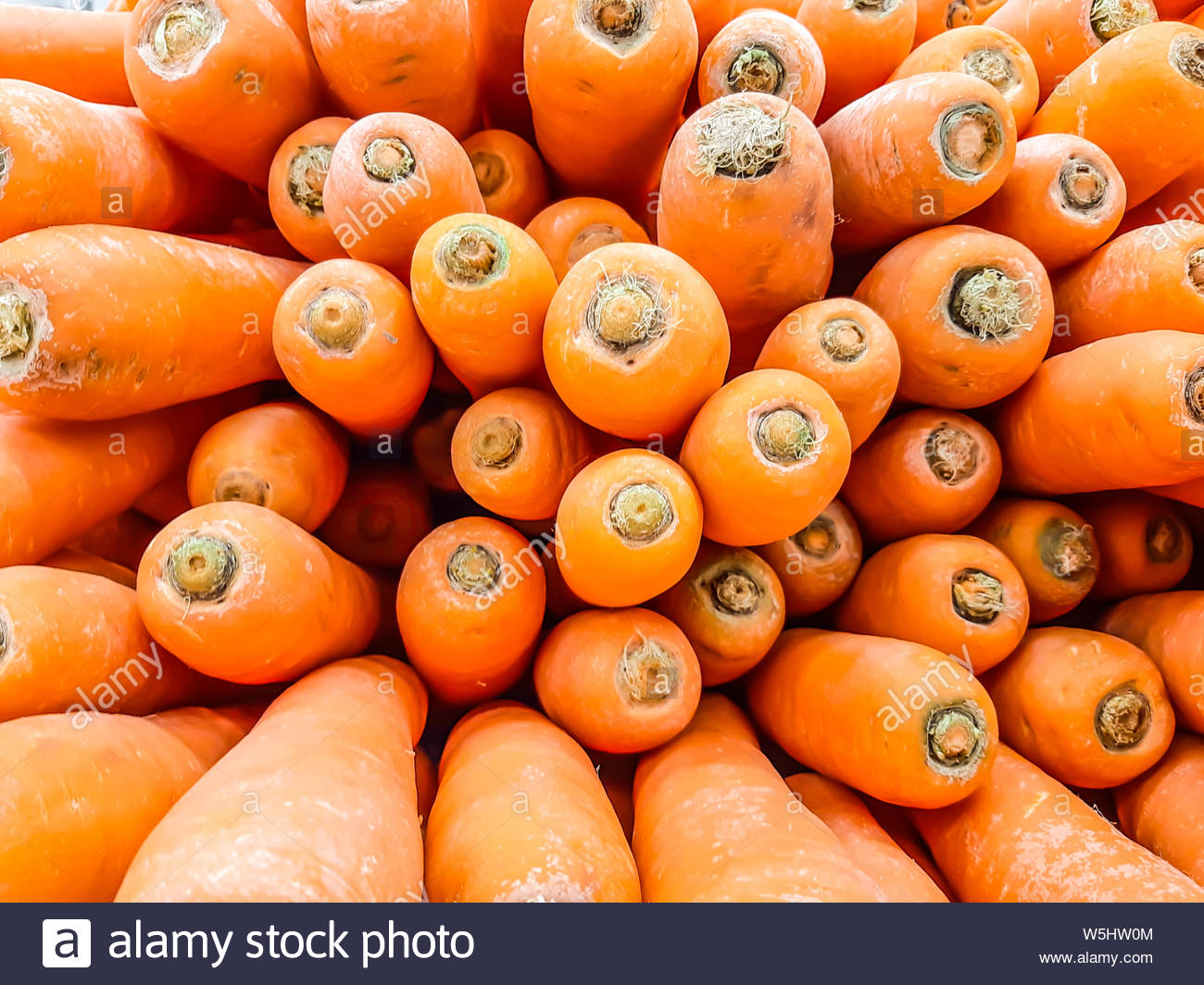 Free download Download carrots png images background TOPpng [840x859 ...