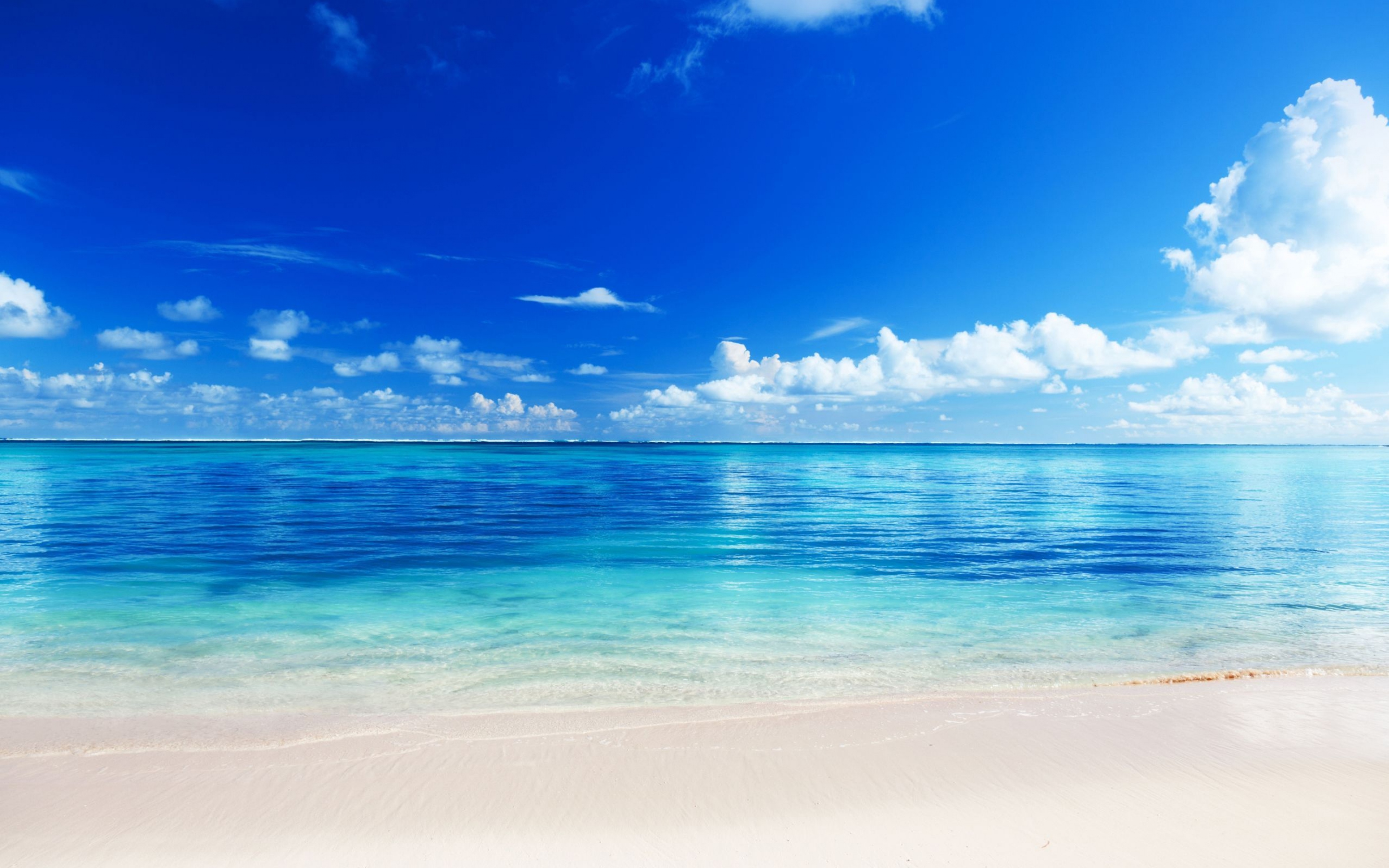 Free Download Wallpaper Sea Beach Horizon Sand Tropics Ultra Hd 4k By Free Download Wallpaper Sea Beach Horizon Sand Tropics Ultra Hd 4k By