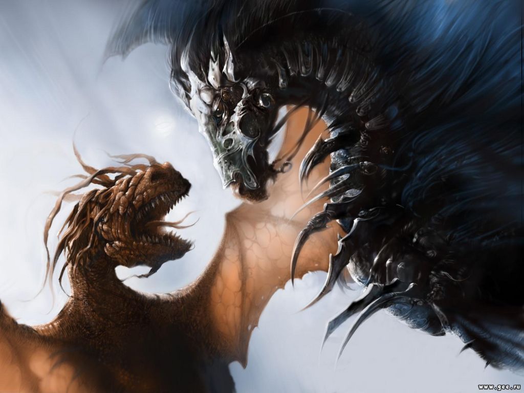 🔥 Free Download Draak Wallpaper by @bpratt88 | WallpaperSafari