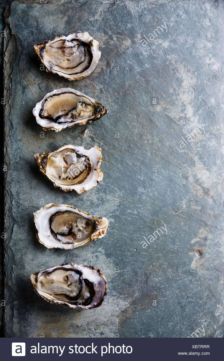 [37+] Oyster Background | WallpaperSafari