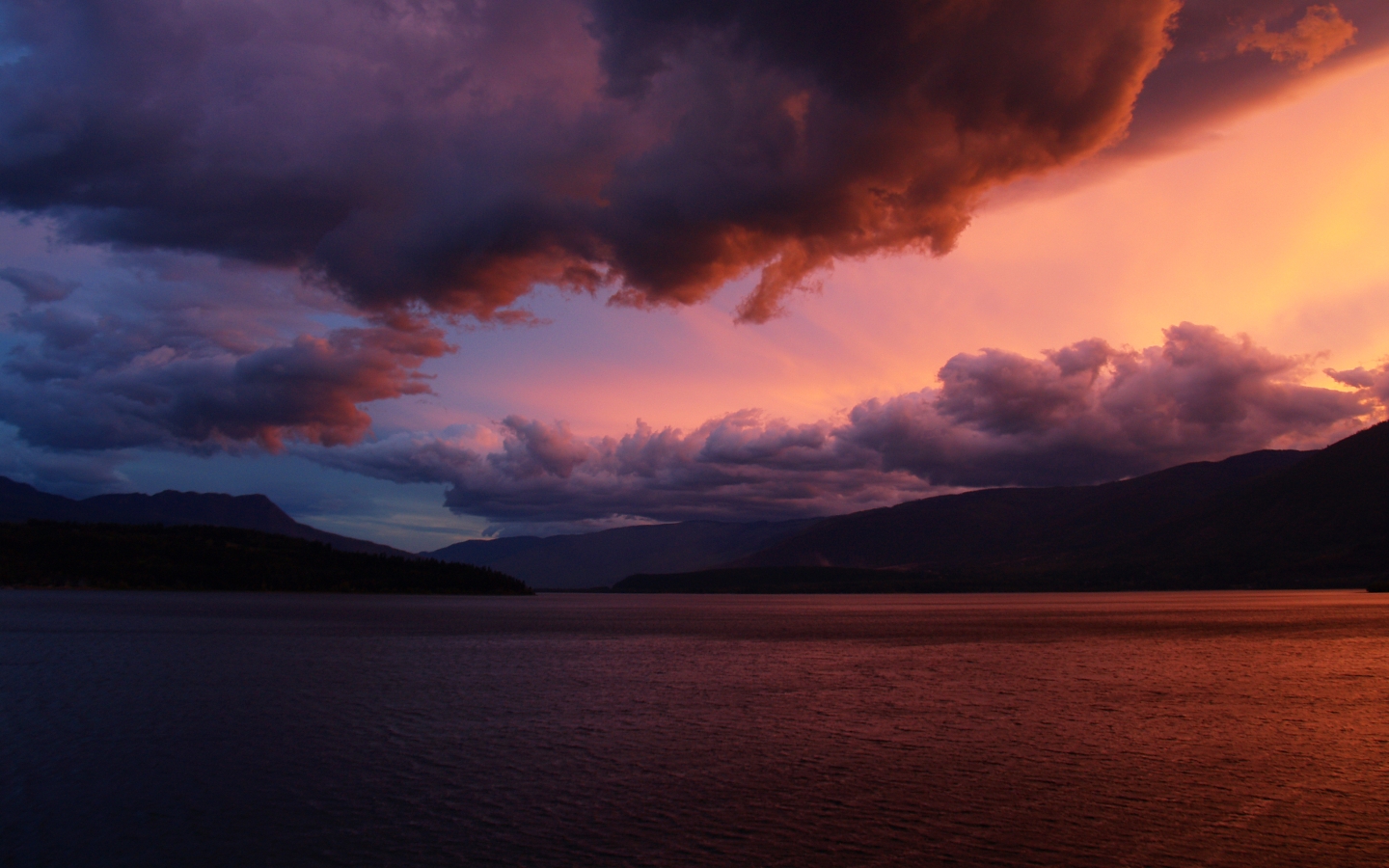 Free Download 1600 And 1920 X 1200 Wallpaper PicsWallpapercom 1440x900