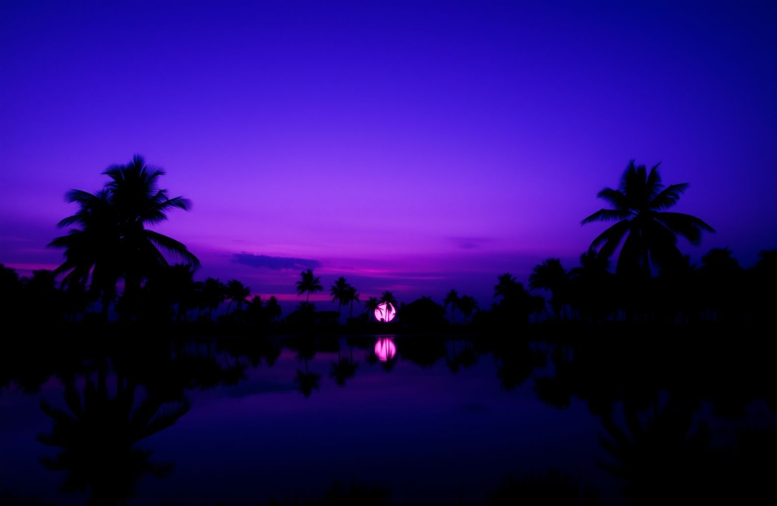 🔥 Free Download Purple Sunset Wallpaper by @georgep67 | WallpaperSafari