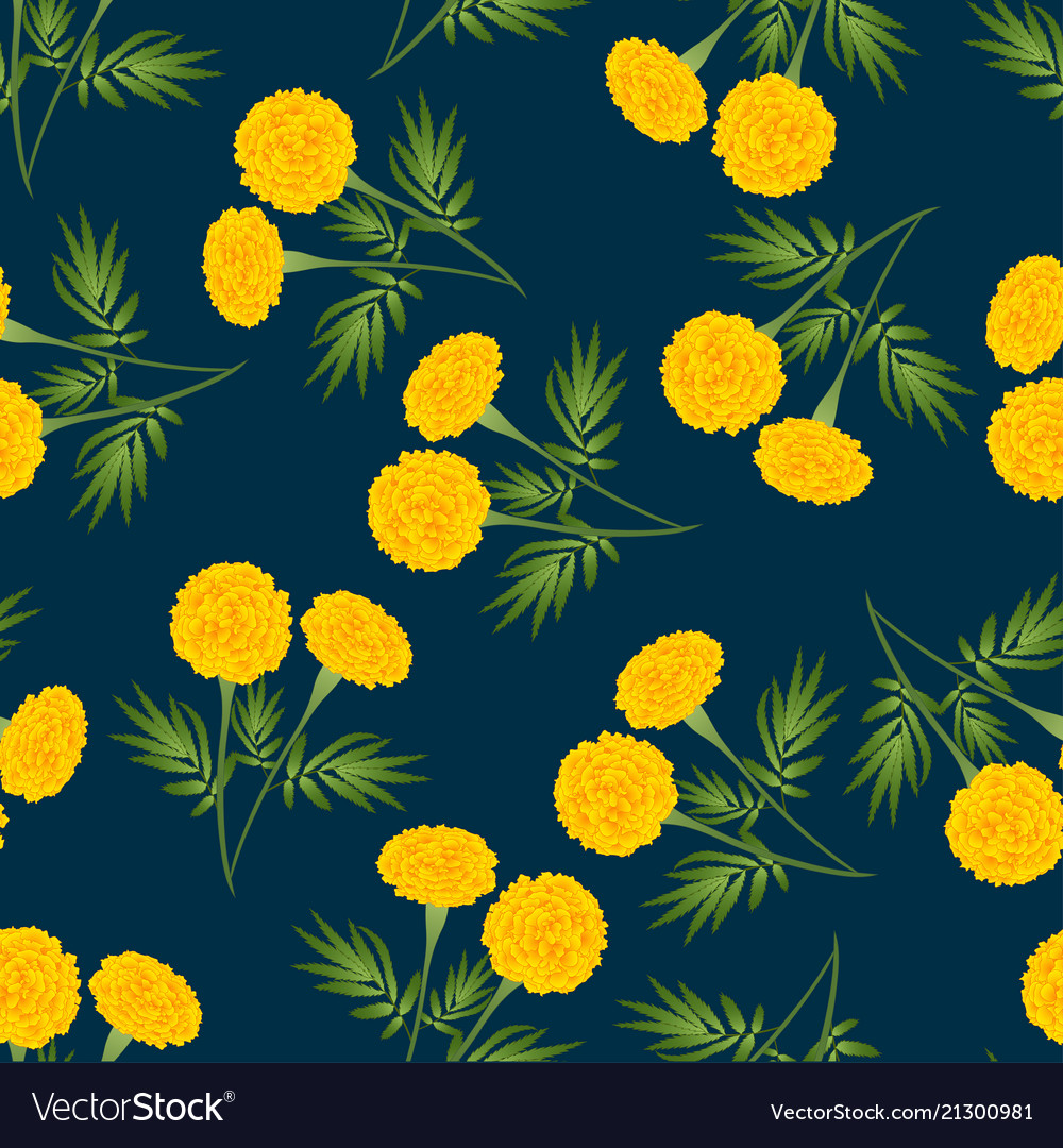 🔥 [40+] Marigold Background | WallpaperSafari