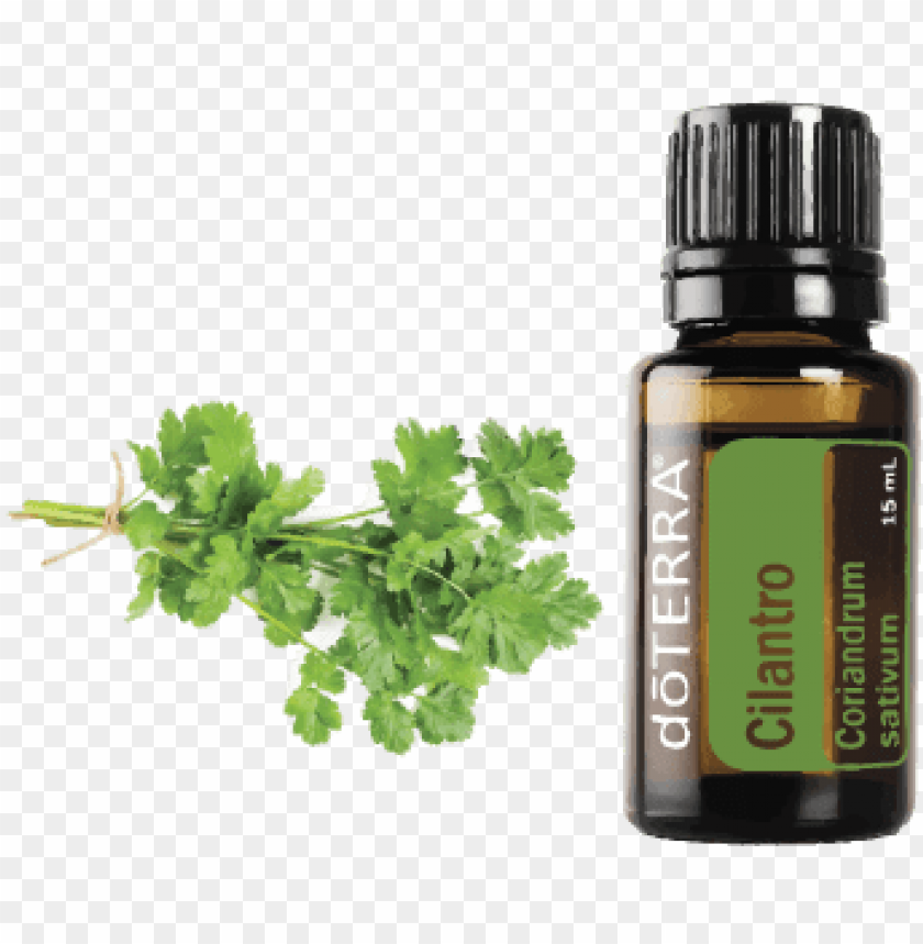 🔥 Free Download Doterra Tea Tree Uses Png Image With Transparent ...