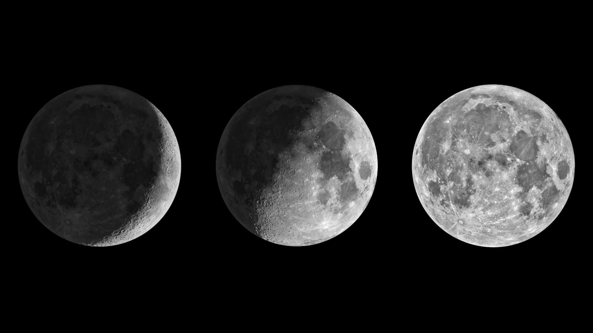 🔥 Free Download Moon Phase Wallpaper by @lindal59 | WallpaperSafari