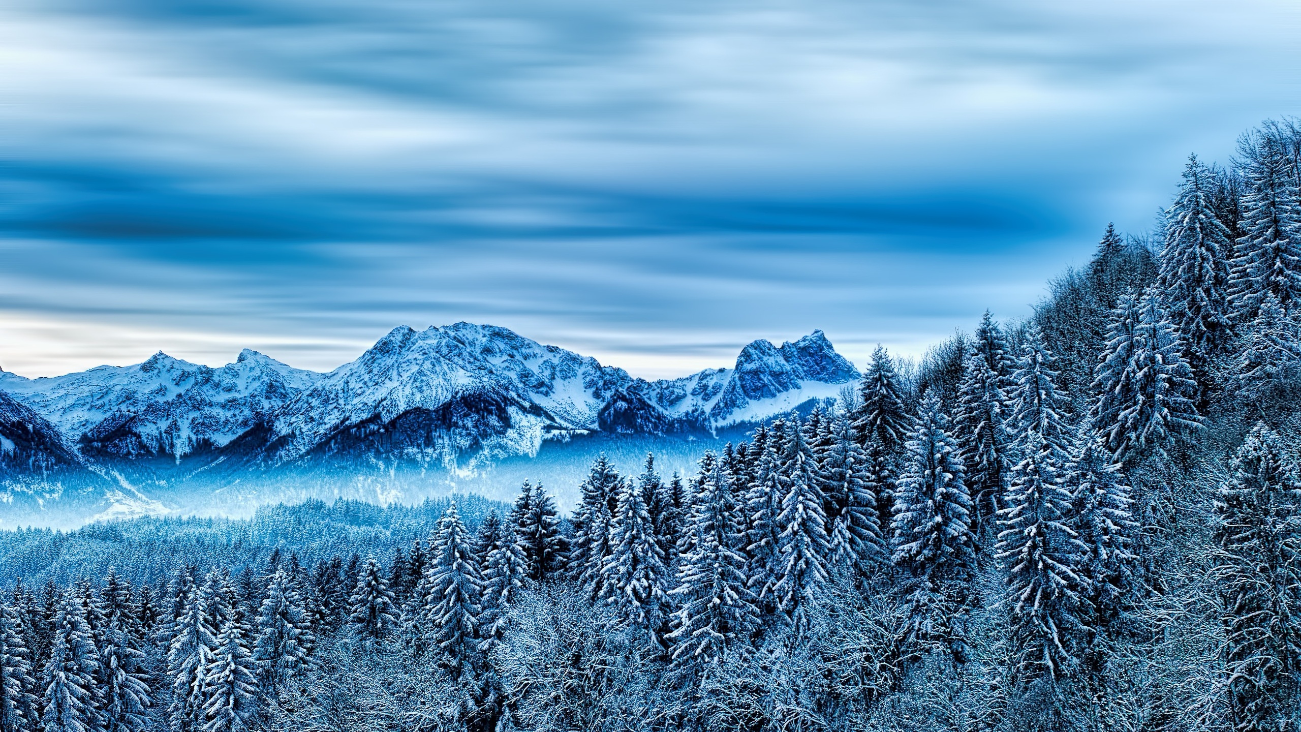 🔥 [40+] Winter Snow Wallpapers | WallpaperSafari