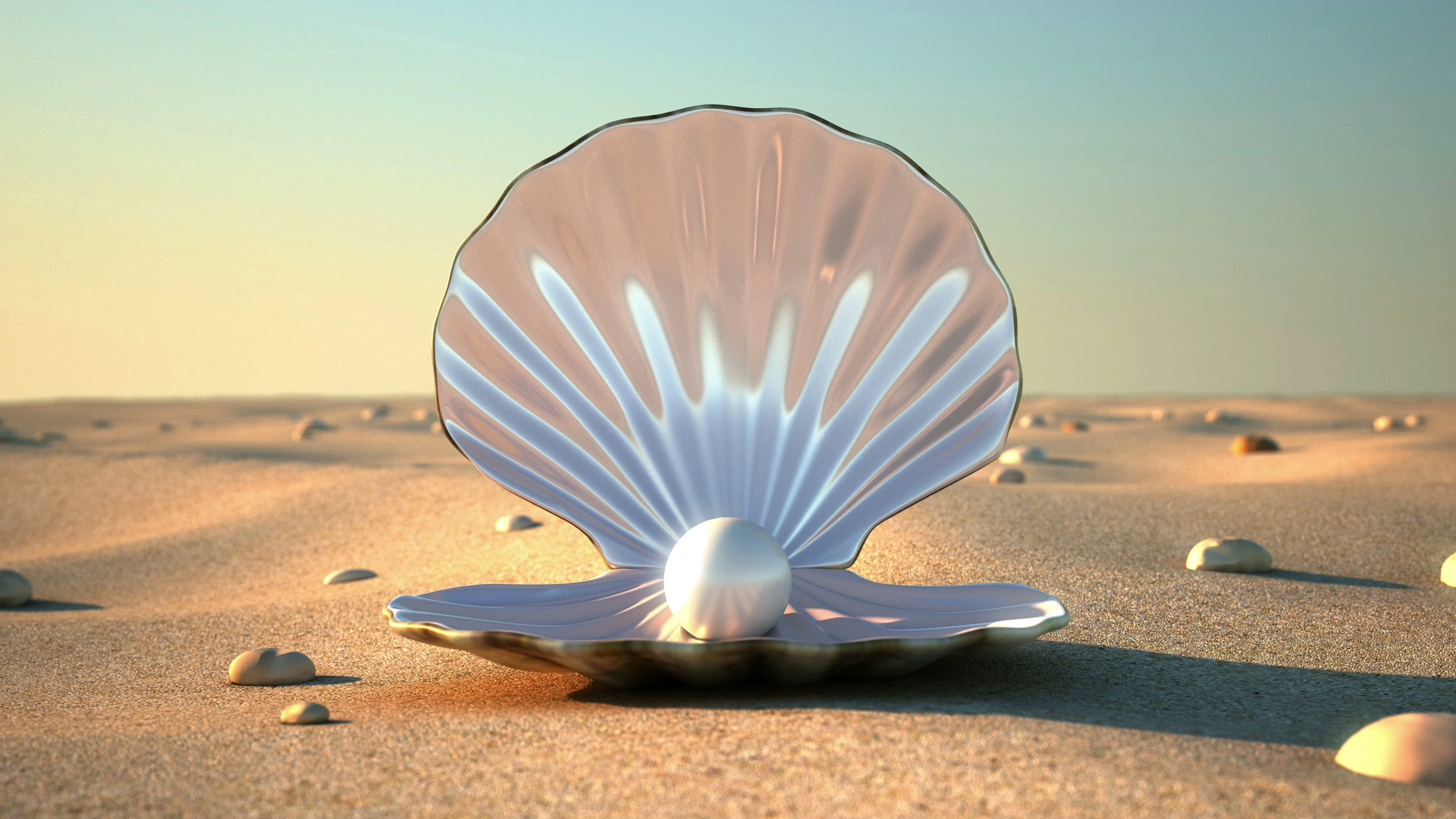 🔥 Free Download Image A Beautiful Clam Shell Wallpaper by @mariai84 ...