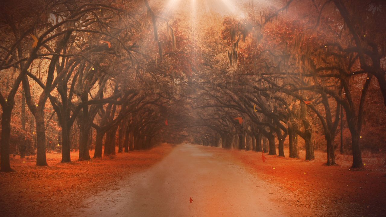 🔥 Free Download Church Media Life Scribe Fall Woods Autumn Worship by ...