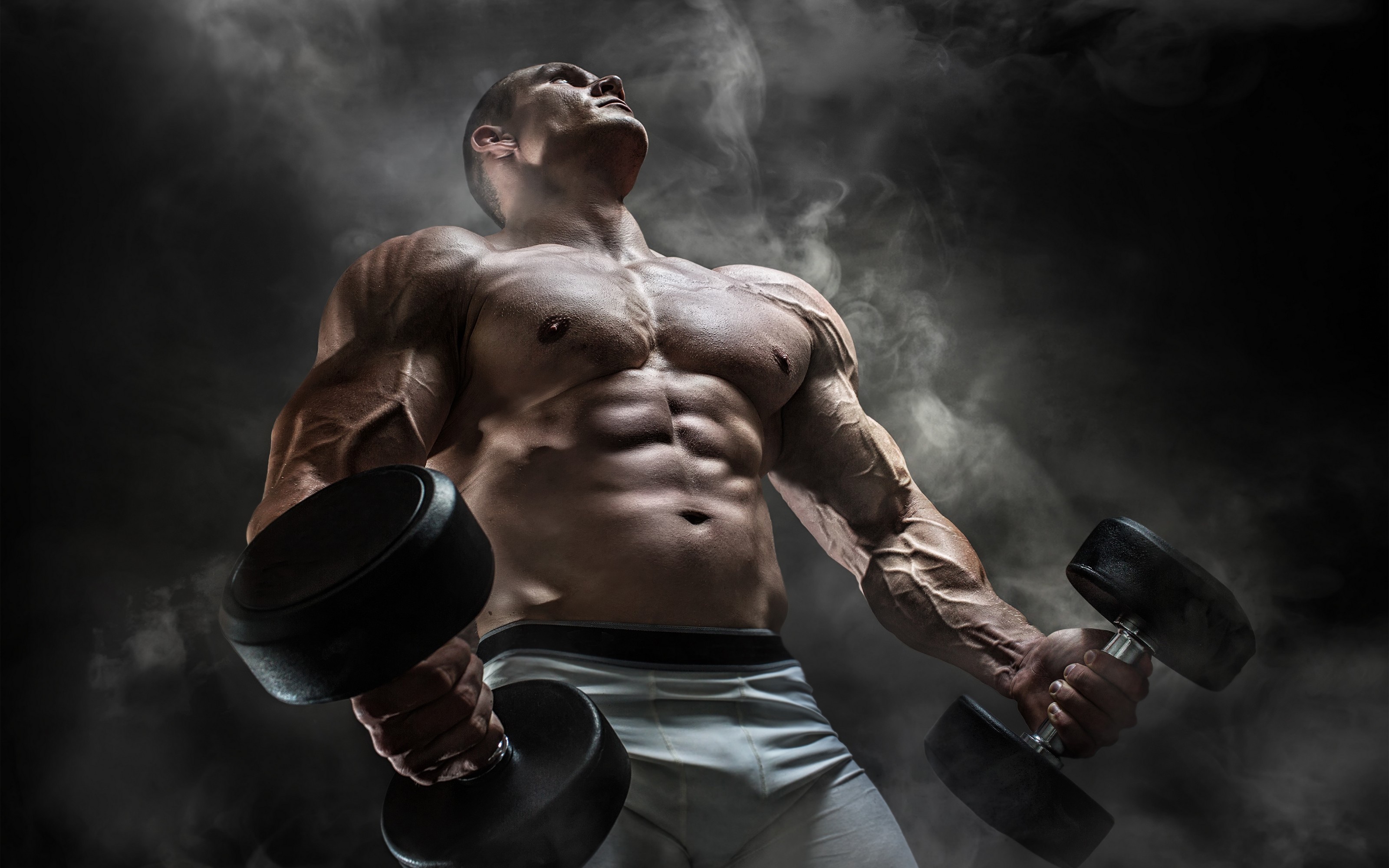 🔥 [40+] Bodybuilders Hd Wallpapers | WallpaperSafari