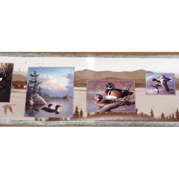 Free download Wildlife Wallpaper BorderPreserve Dark Green Wildlife ...