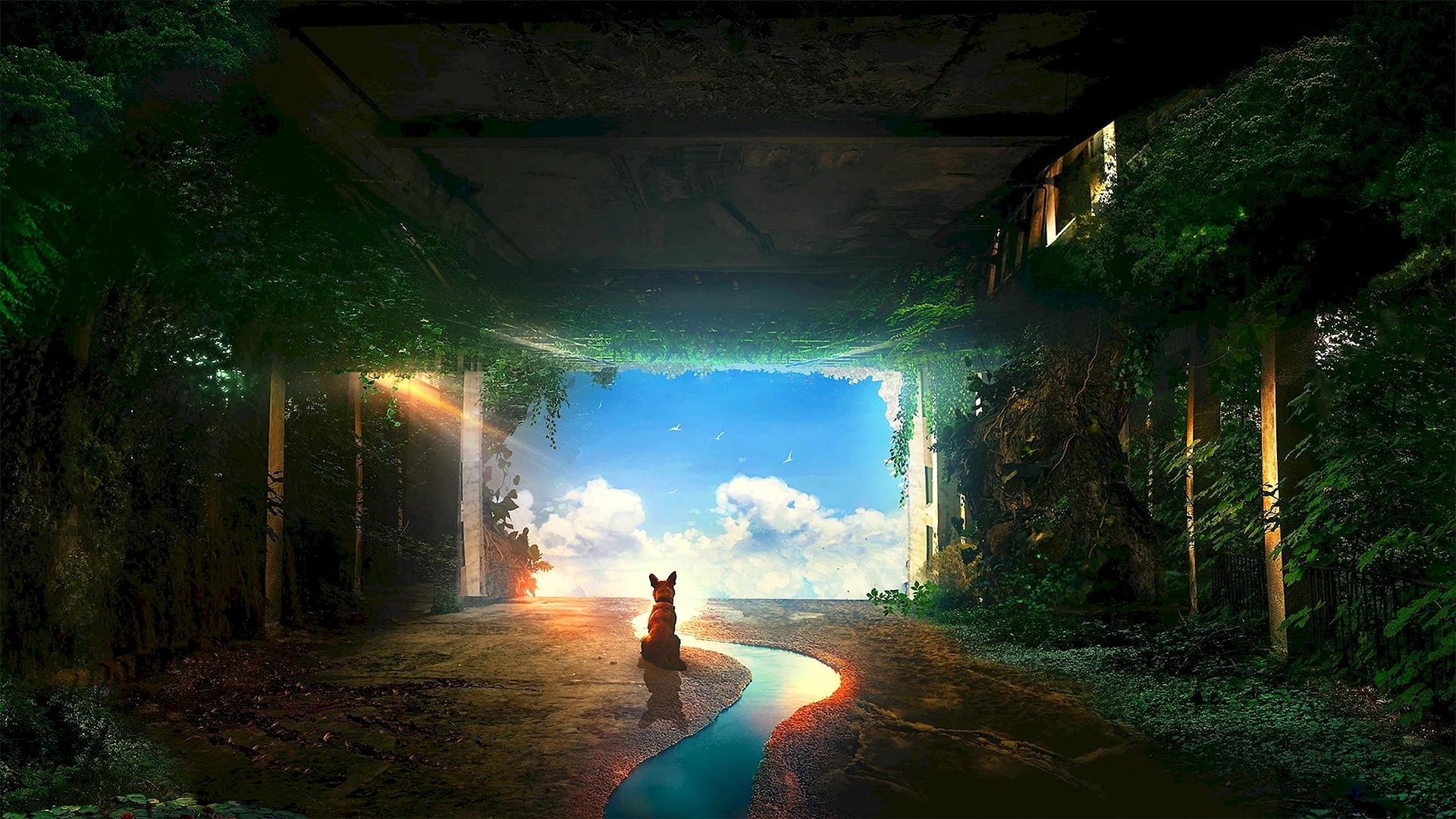 🔥 Free Download Creative 4k Wallpaper by @staceyc | WallpaperSafari