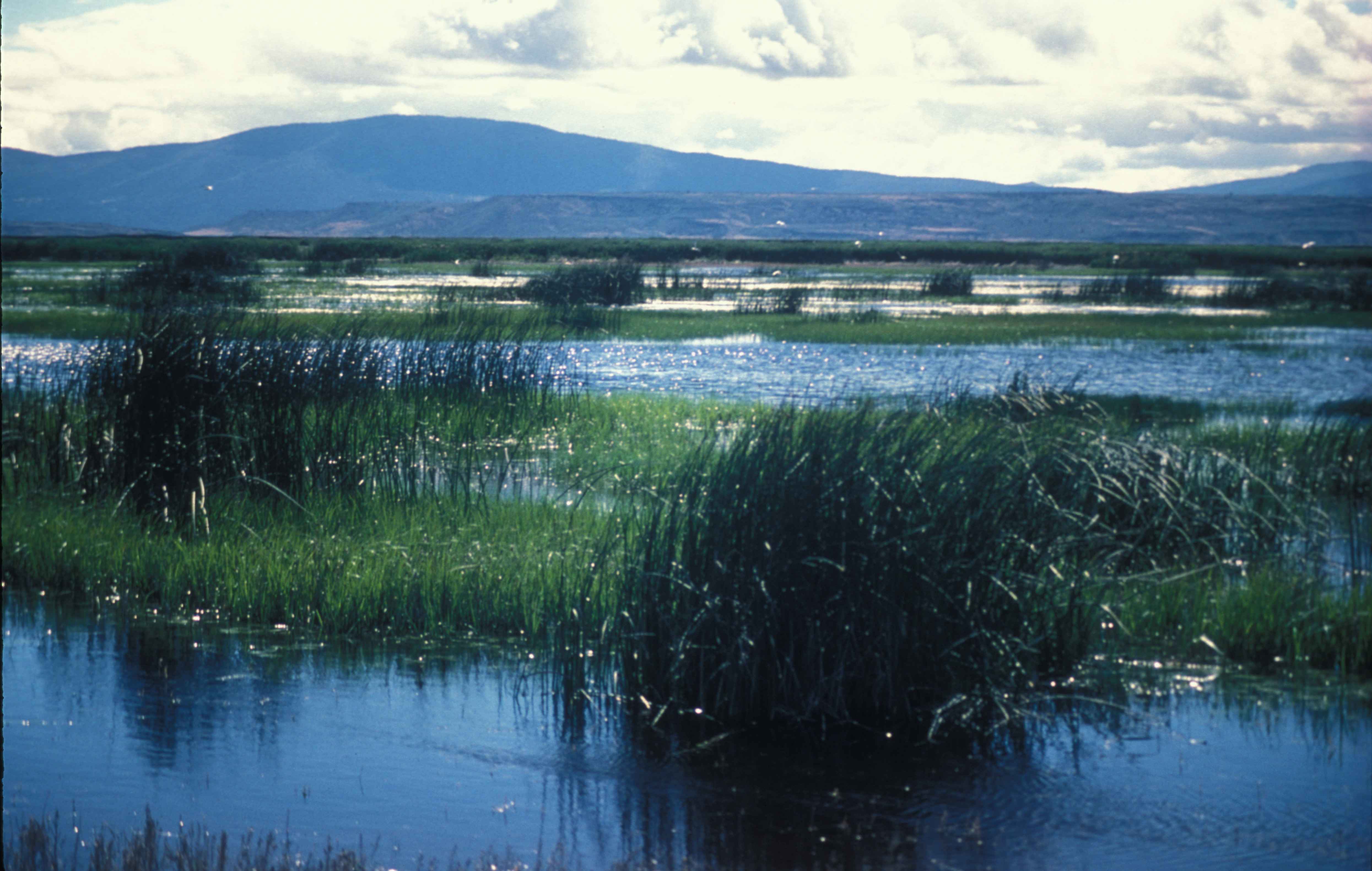 🔥 Free Download File Image Of Wetland Landscape With Mountains In The ...