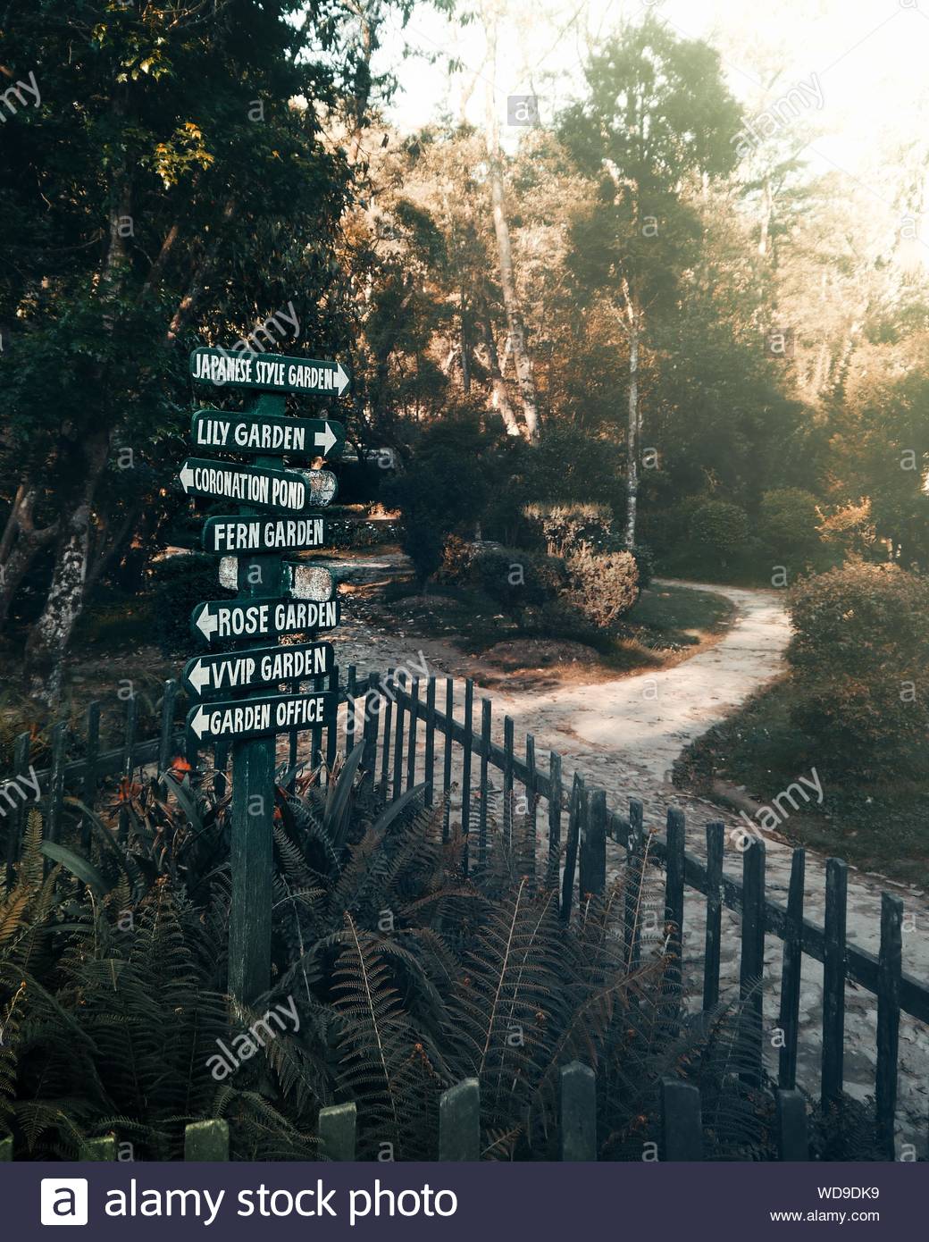 [42+] Pathways Background | WallpaperSafari