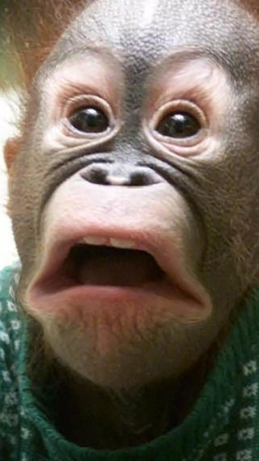 Carl Singleton Wallpaper Collection on WallpaperSafari