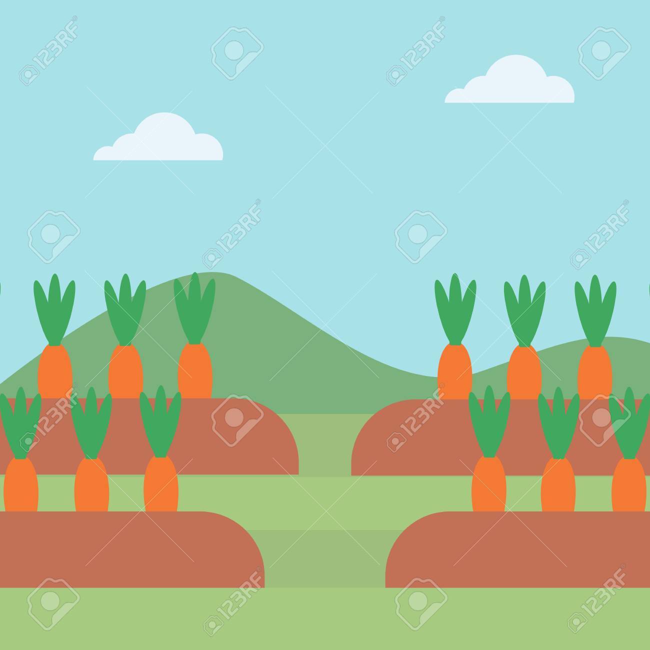 Free download Sliced Carrots Carrots Background Carrot Sliced Into ...