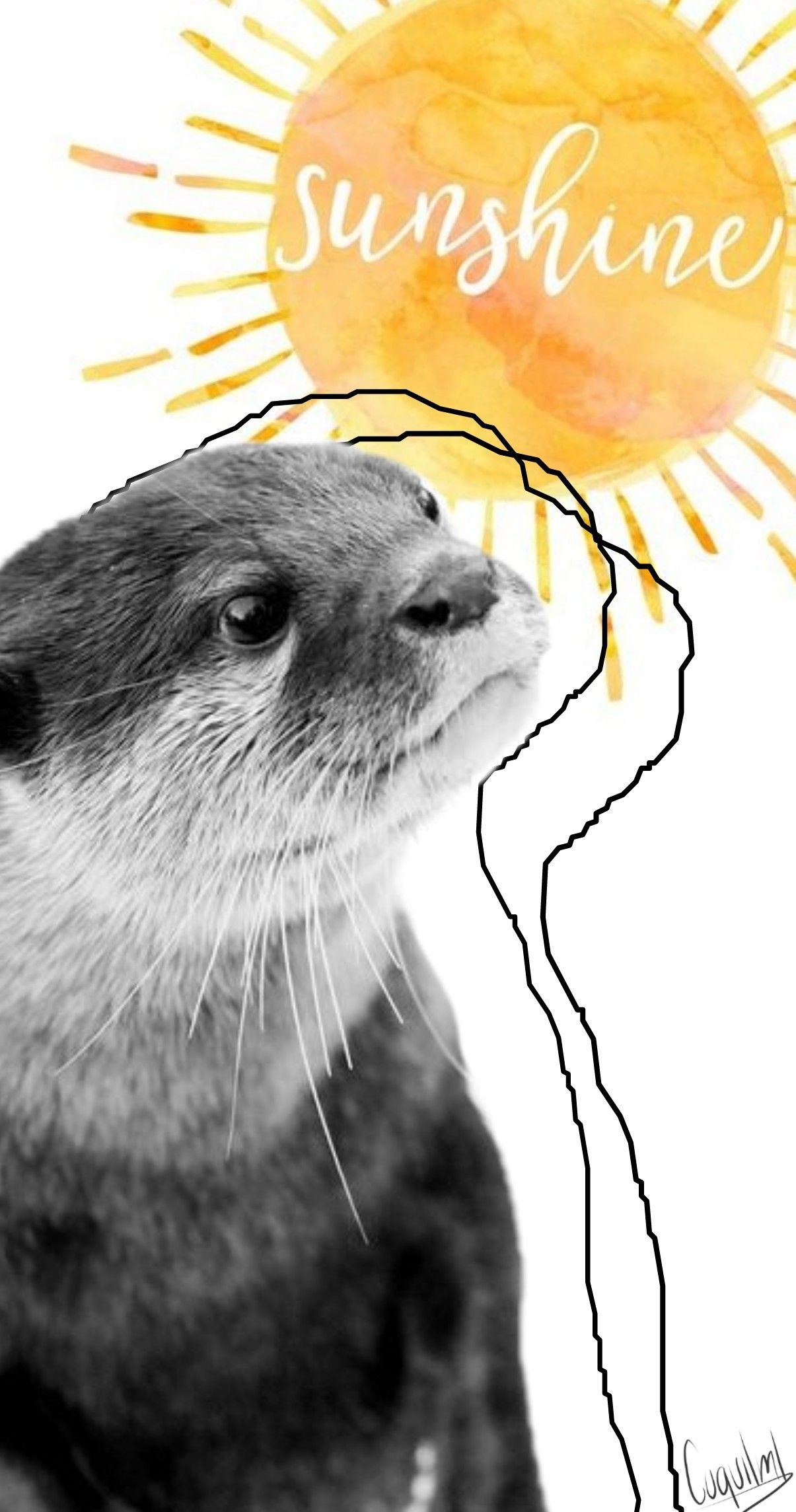 🔥 [0+] Nutria Backgrounds | WallpaperSafari