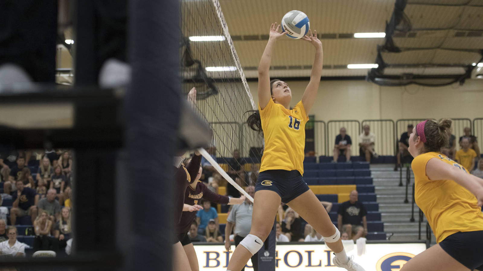 Uwec Camps