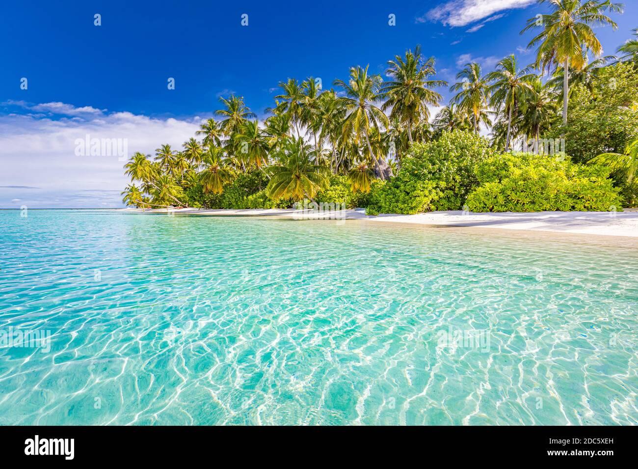 🔥 [18+] Sunny Holiday Wallpapers | WallpaperSafari