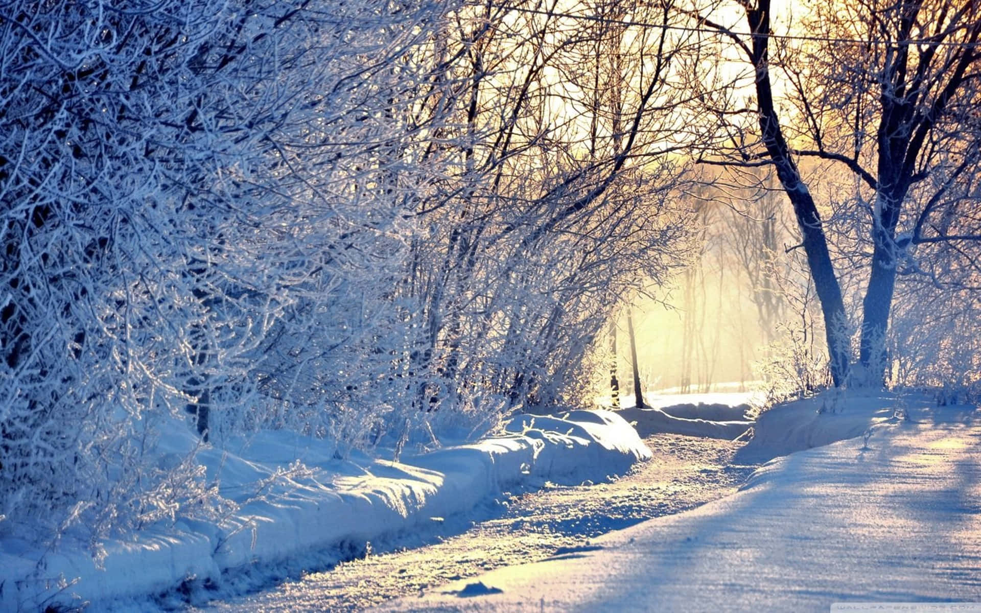 🔥 [40+] Snow 4k Wallpapers | WallpaperSafari