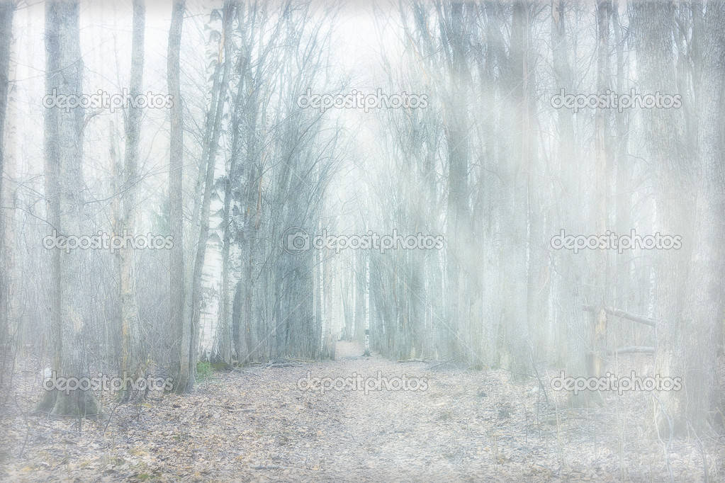 🔥 Free Download Mystical Forest Wallpaper F R Desktop Couple by ...