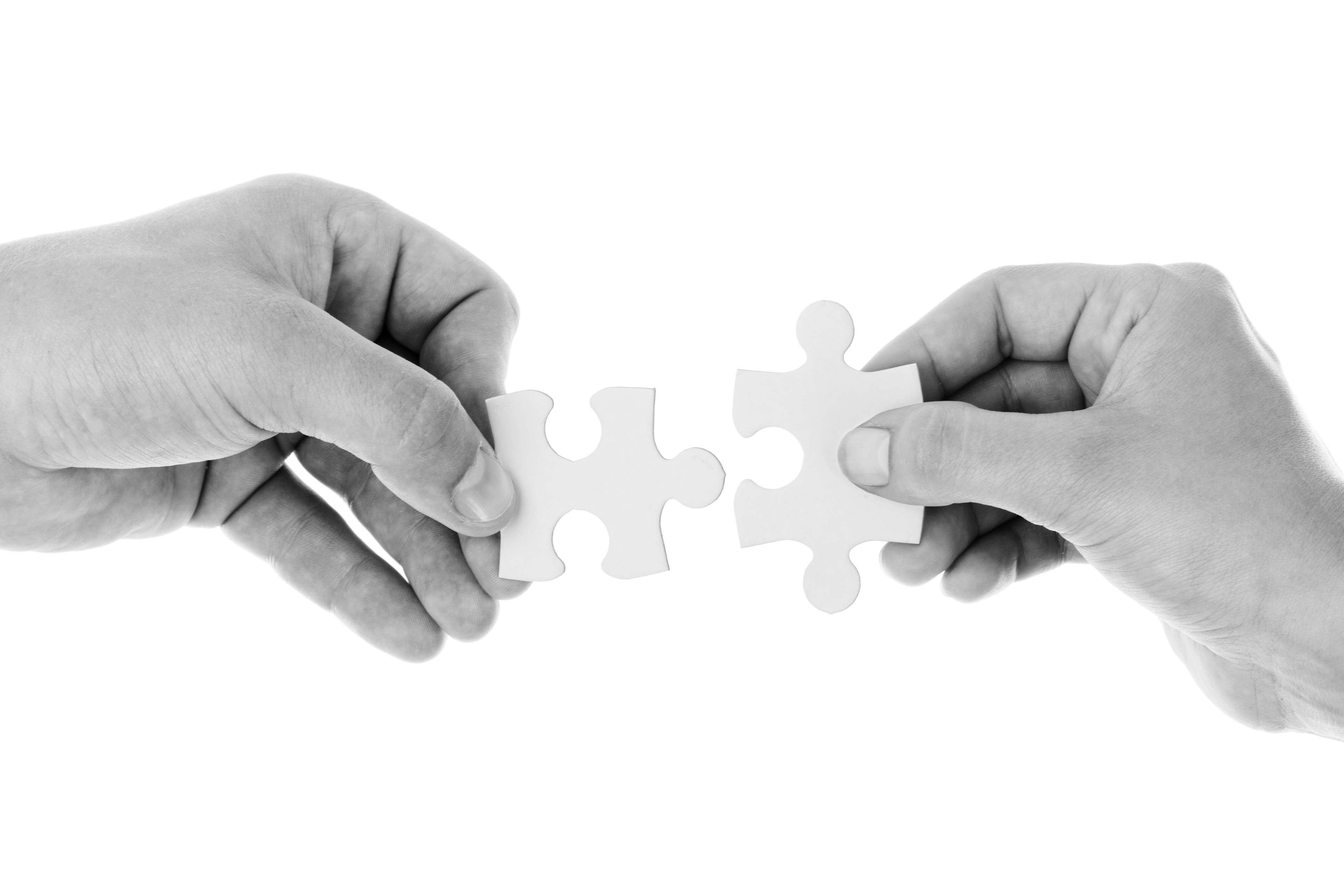 🔥 Free Download Collaboration Colleagues Cooperation Fist Bump Fists ...