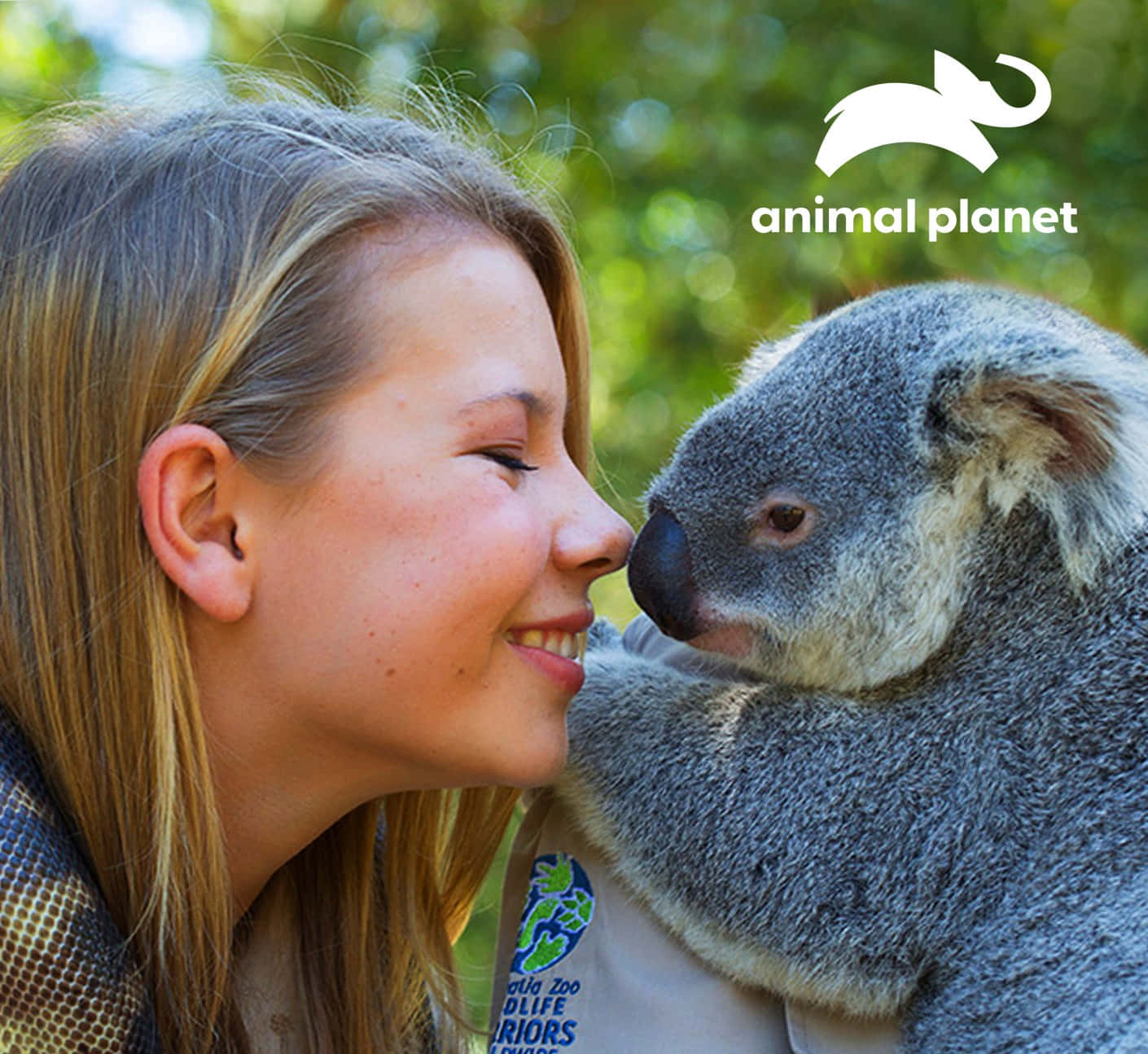 🔥 Free Download The Incredible Natural World Of Animal Planet Wallpaper ...
