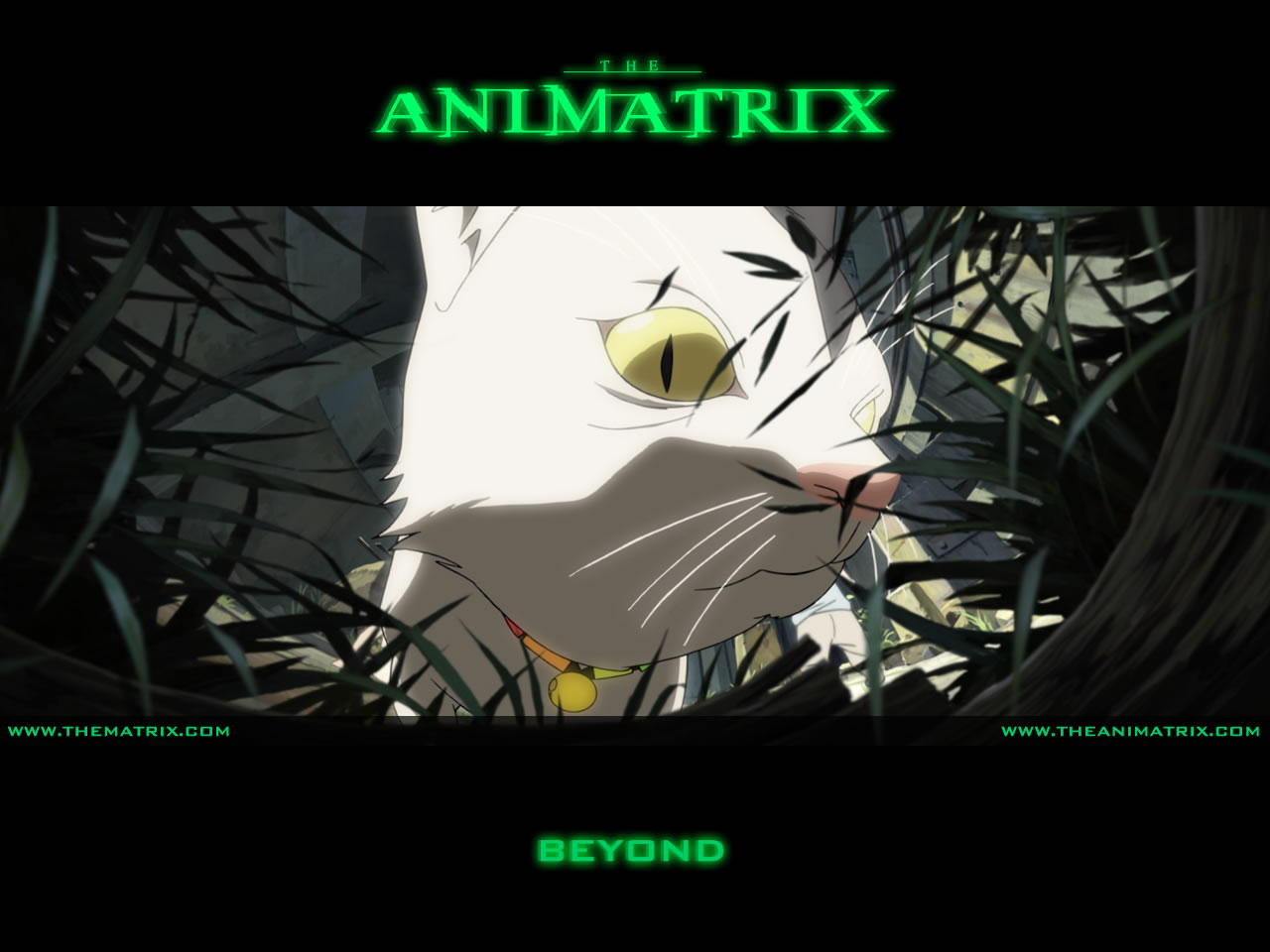 🔥 Free Download The Animatrix Wallpaper Anime Hq Pictures 4k by ...