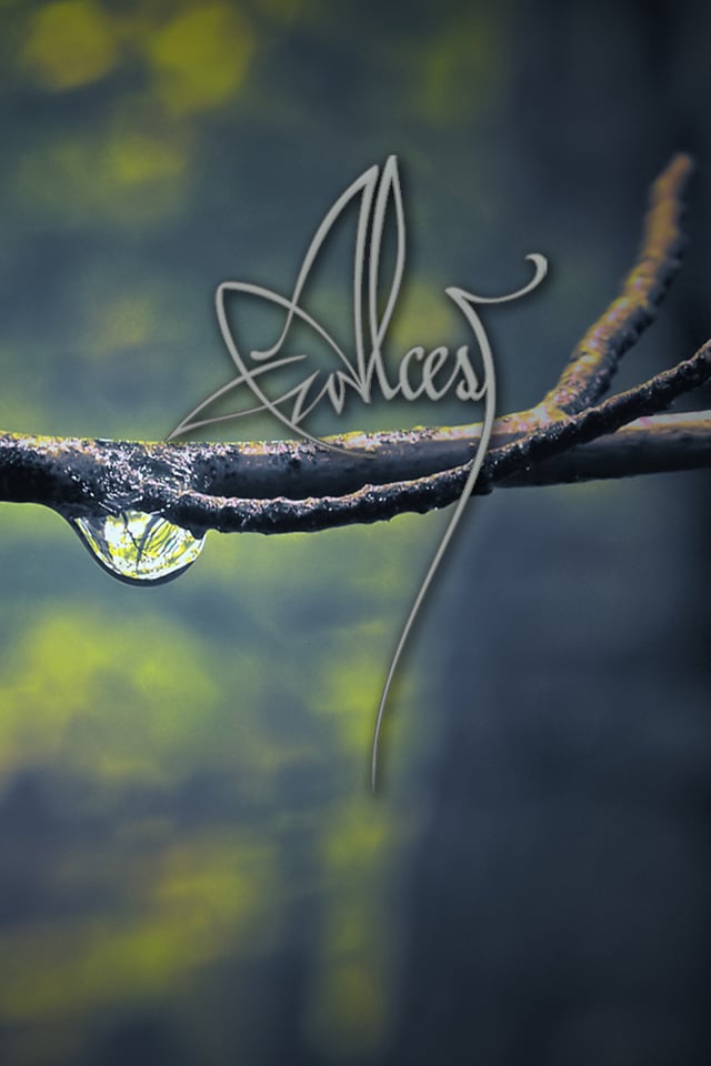 🔥 [30+] Alcest Wallpapers | WallpaperSafari