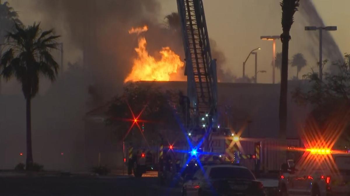 🔥 [10+] Sizzler Backgrounds | WallpaperSafari