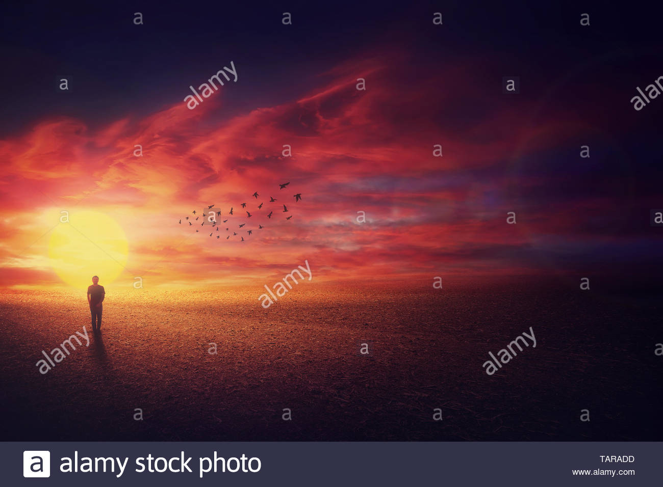 [46+] Sundown Background on WallpaperSafari