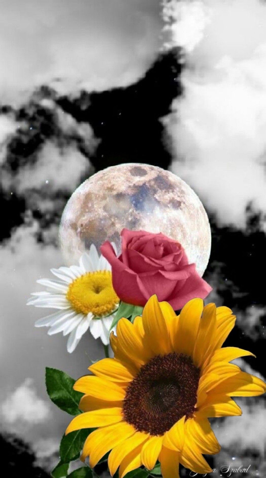 🔥 Free Download Sunflowers And Roses X Wallpaper by @kathrynvillarreal ...