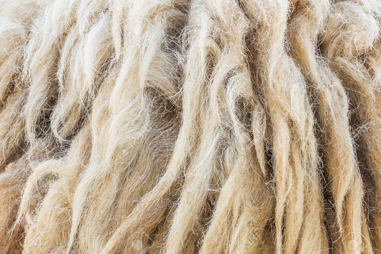 [40+] Wool Background on WallpaperSafari