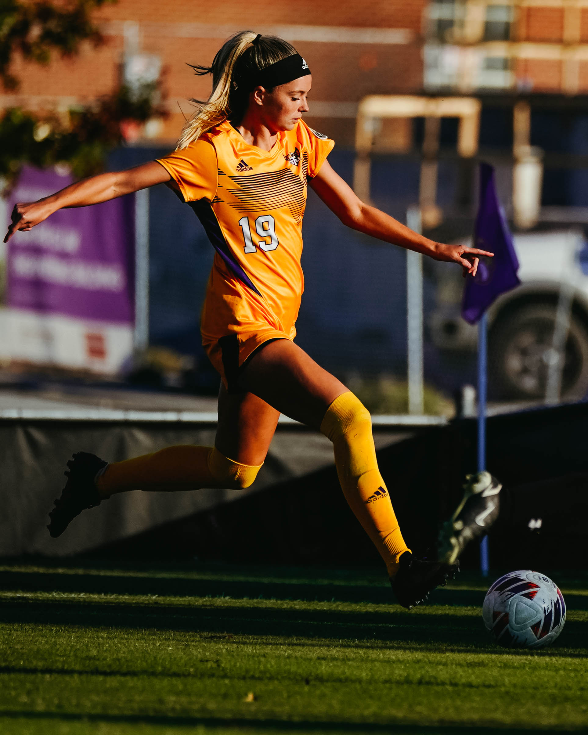 🔥 [80+] Emily Armstrong Wallpapers | WallpaperSafari